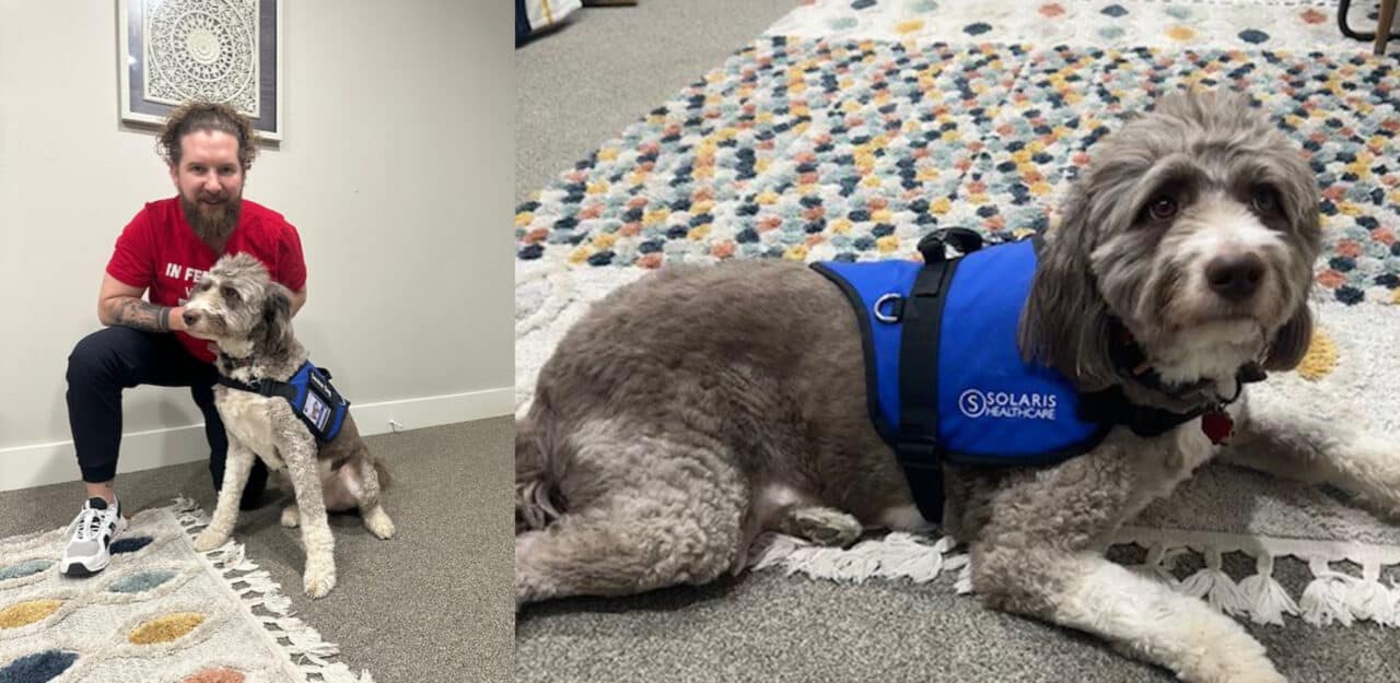 Paws for Comfort: The Benefits of Pet Therapy in Hospice Care | Resources